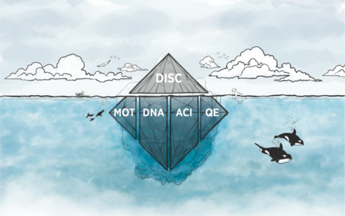 DISC - Tudo sobre o DISC em um só lugar.